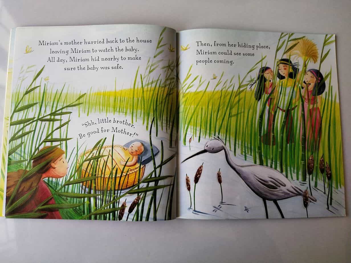 REVIEW: Moses In The Bulrushes By Katherine Sully - Nathan Reading Journey