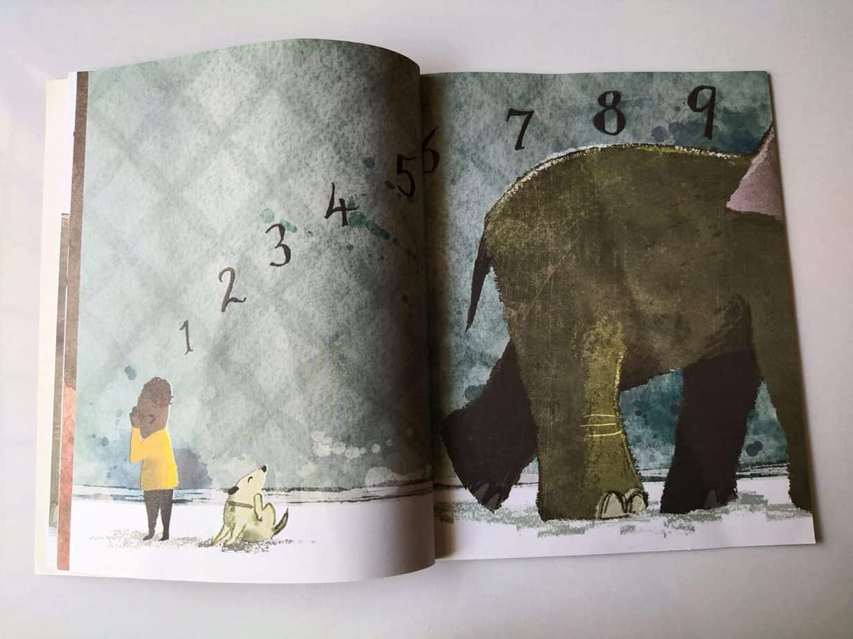 REVIEW: Have You Seen Elephant? By David Barrow - Nathan Reading Journey