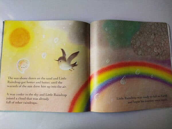 REVIEW: The Little Raindrop By Joanna Grag - Nathan Reading Journey