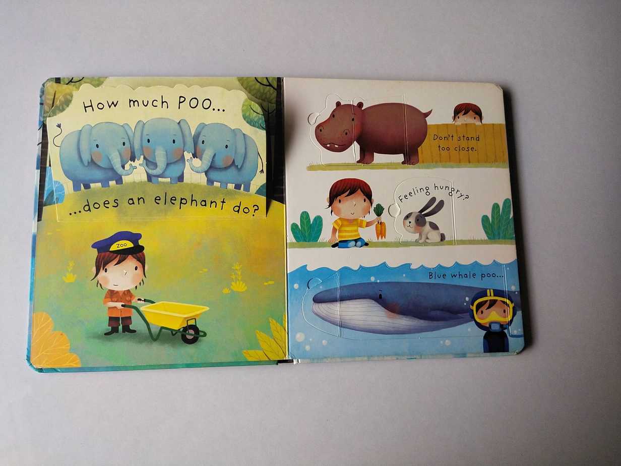REVIEW: What Is Poo? By Katie Daynes - Nathan Reading Journey