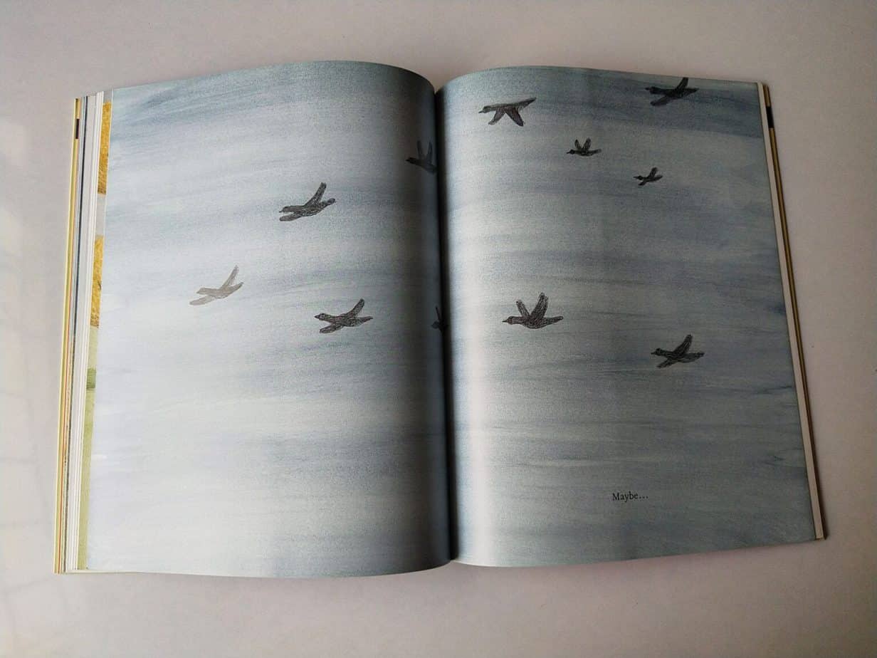 REVIEW: The Lion And The Bird By Marianne Dubuc - Nathan Reading Journey