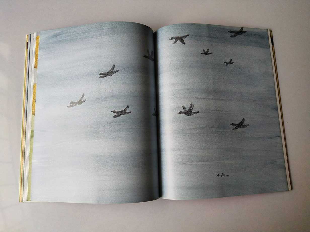 REVIEW: The Lion And The Bird By Marianne Dubuc - Nathan Reading Journey