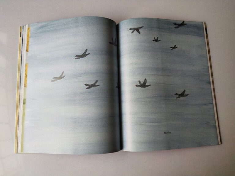 REVIEW: The Lion And The Bird By Marianne Dubuc - Nathan Reading Journey