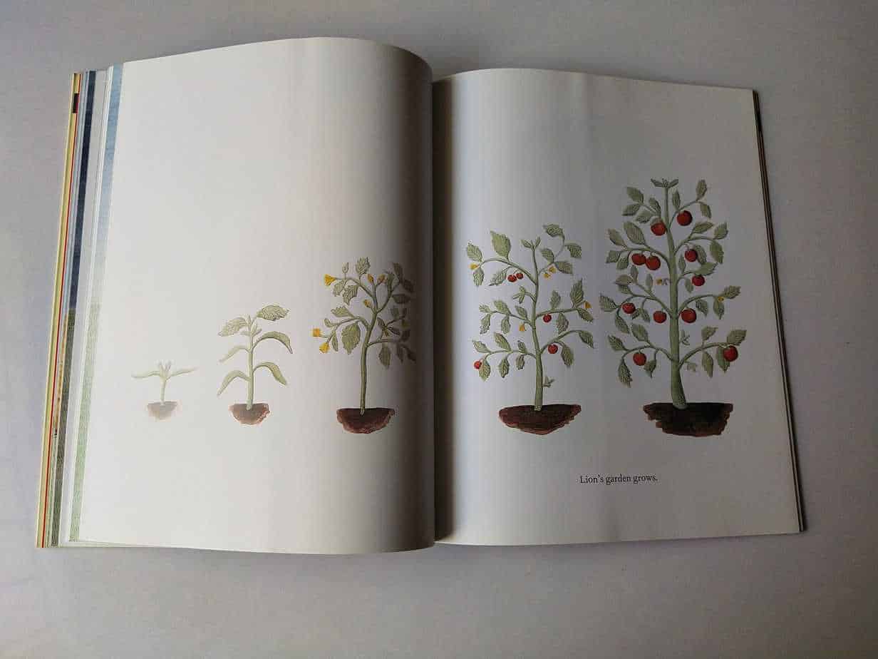 REVIEW: The Lion And The Bird By Marianne Dubuc - Nathan Reading Journey