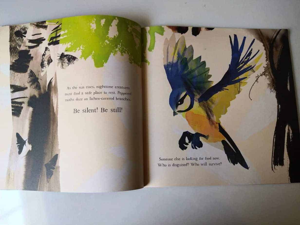 Review Moth An Evolution Story By Isabel Thomas Nathan Reading Journey