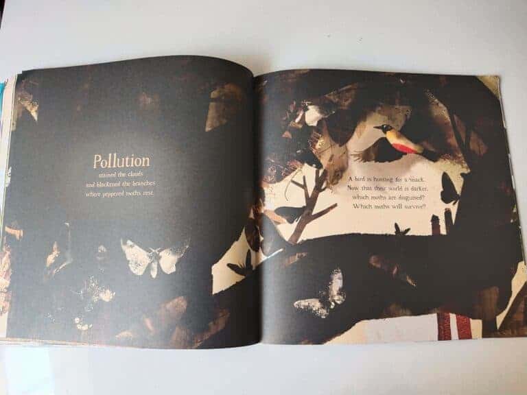 REVIEW: MOTH: An Evolution Story By Isabel Thomas - Nathan Reading Journey