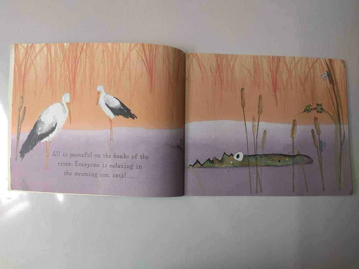 Review: Solomon Crocodile By Catherine Rayner - Nathan Reading Journey