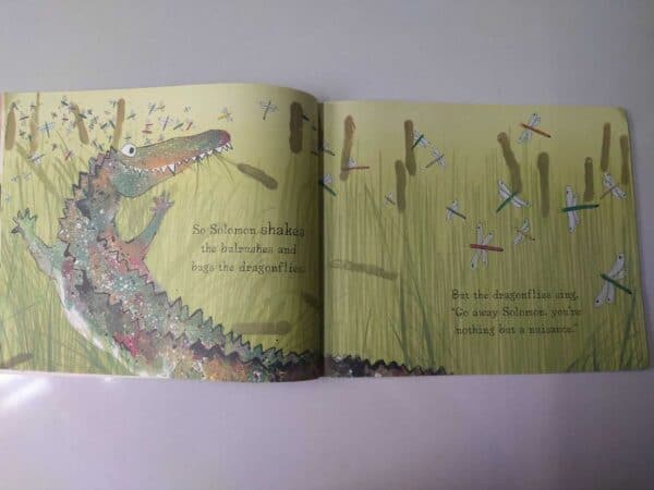 Review: Solomon Crocodile By Catherine Rayner - Nathan Reading Journey