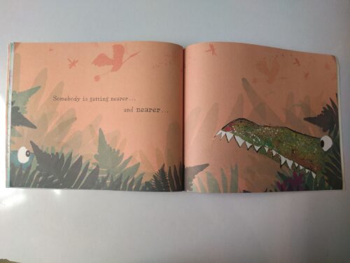Review: Solomon Crocodile By Catherine Rayner - Nathan Reading Journey
