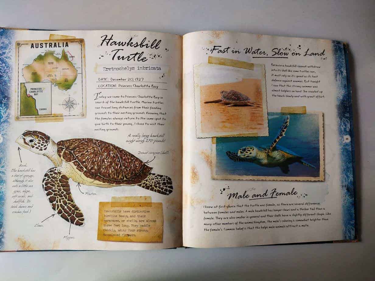 Review: Ultimate Expeditions: Deep Sea Diver By Phyllis Perry - Nathan ...